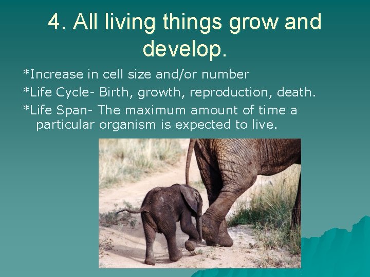 Which are living organisms A B E C