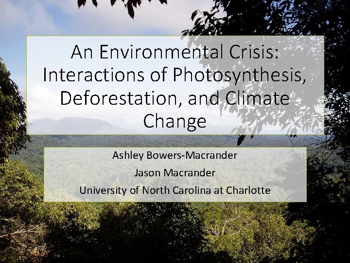 An Environmental Crisis Interactions of Photosynthesis Deforestation and