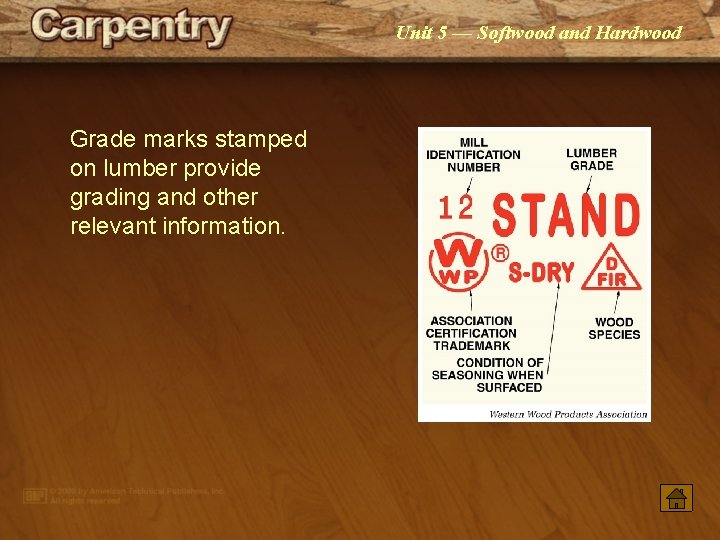 Power Point Presentation Unit 5 Softwood and Hardwood