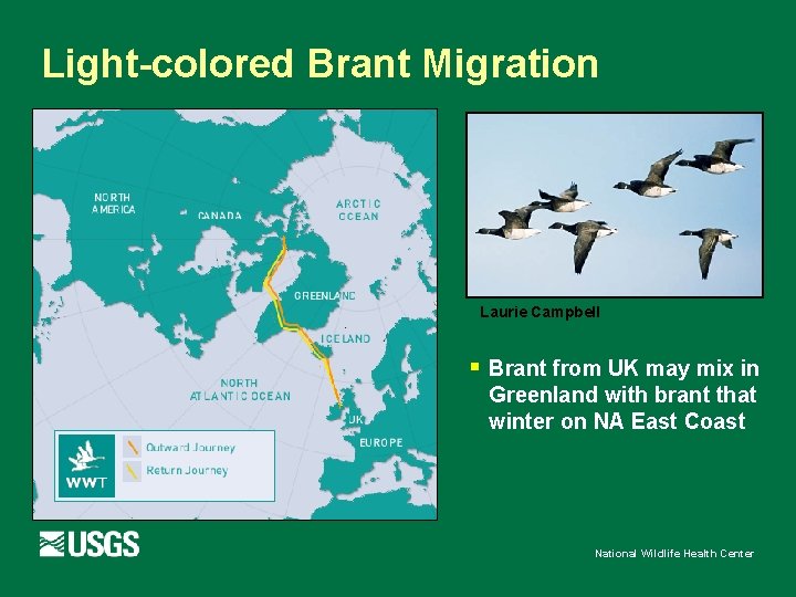 National Wildlife Health Center Madison Wisconsin National Wildlife