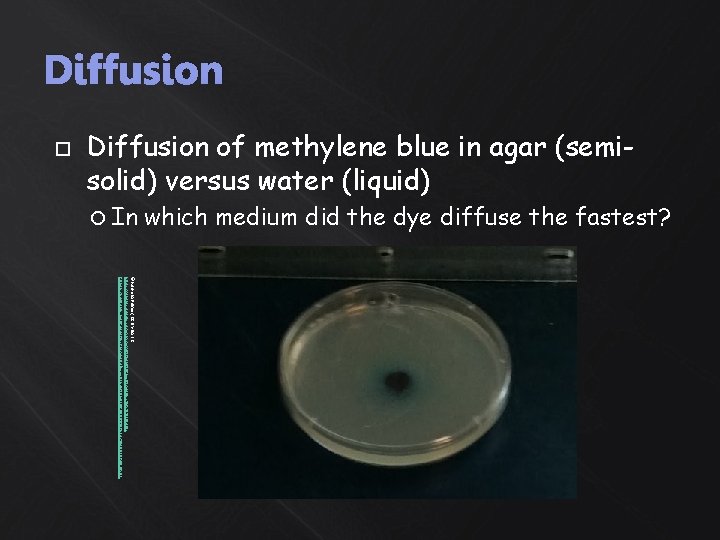 Cell Function and Diffusion How to follow Lab