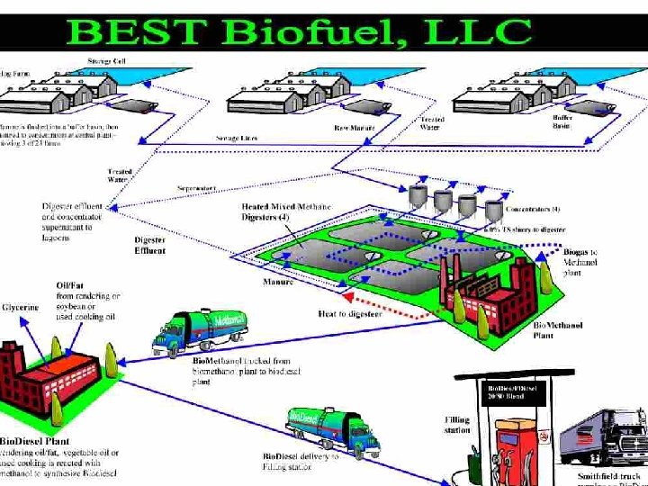 Honda Insight Mild Hybrid Integrated Starter Generator ISG