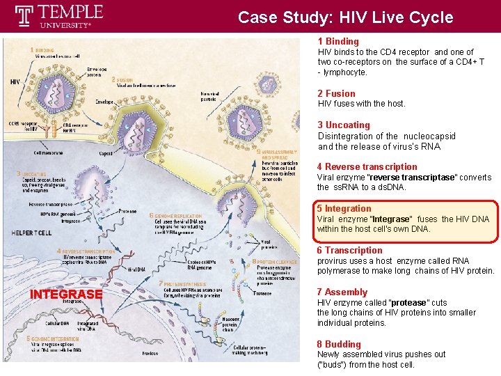 Statistical Thermodynamics Molecular Docking and BEDAM Binding Free