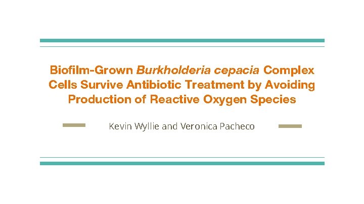 BiofilmGrown Burkholderia cepacia Complex Cells Survive Antibiotic ...