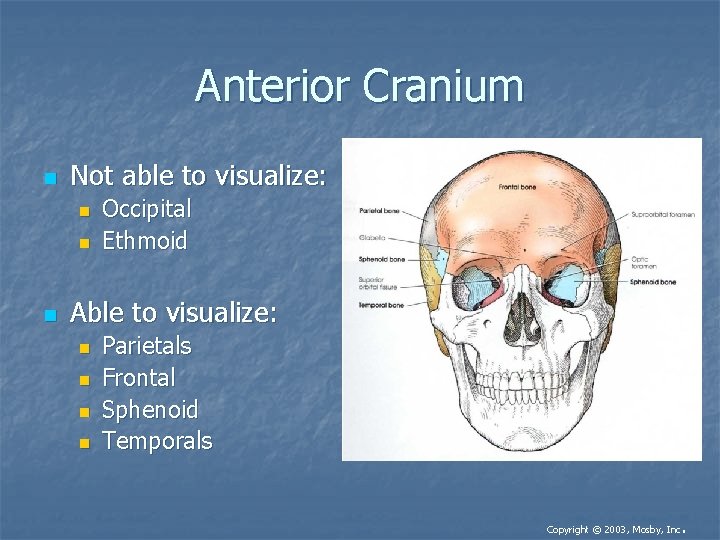 Cranium RTEC 233 Fall 2008 Week 1 2