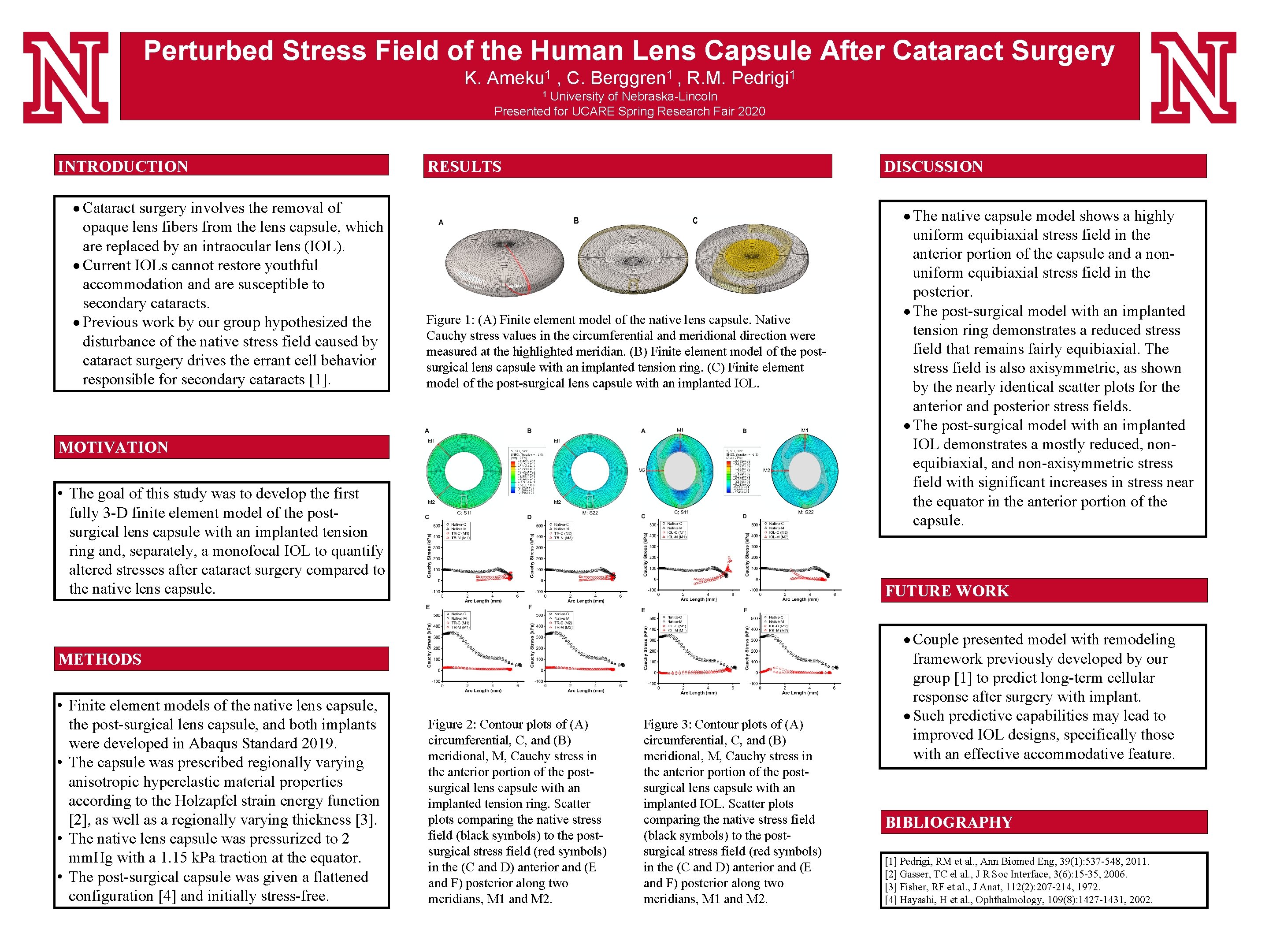 Perturbed Stress Field of the Human Lens Capsule