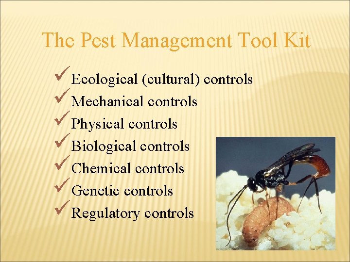 USING PESTICIDES REFERENCE CHAPTER 11 IPM lecture 4