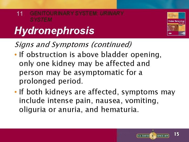 Lecture Notes 11 Genitourinary System Urinary System Classroom