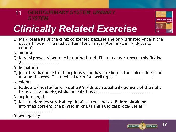 Lecture Notes 11 Genitourinary System Urinary System Classroom