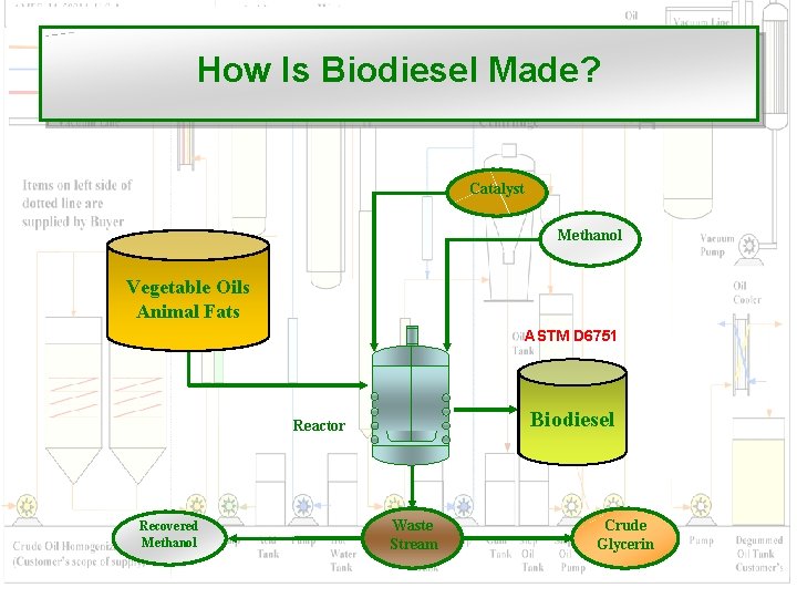 Soy Beans in Biofuels Purpose Provide An Overview
