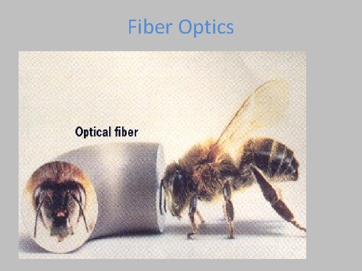 Physics 1161 Lecture 18 Total Internal Reflection Dispersion