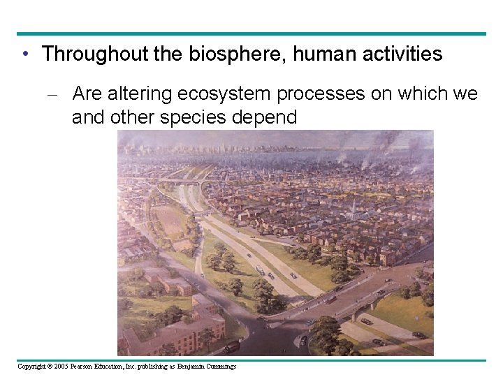 Chapter 55 Conservation Biology Copyright 2005 Pearson Education