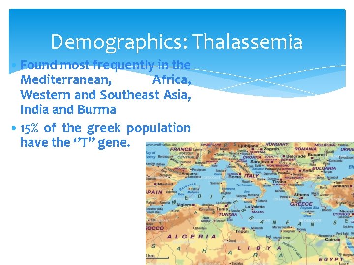 Mediterranean Anemia Thalassemia Kakavoulis Nikolaos Patras Ioannis What