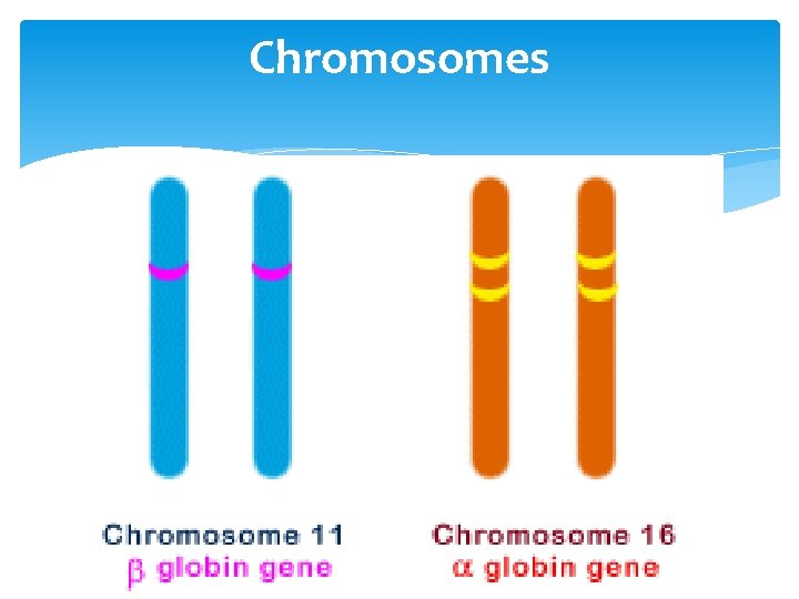 Mediterranean Anemia Thalassemia Kakavoulis Nikolaos Patras Ioannis What