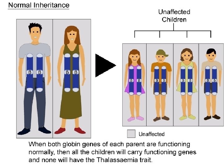 Mediterranean Anemia Thalassemia Kakavoulis Nikolaos Patras Ioannis What