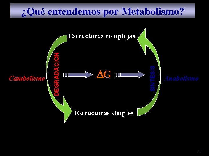 UNIDAD METABOLISMO BIOQUMICO DE LOS CARBOHIDRATOS Objetivo Comprender
