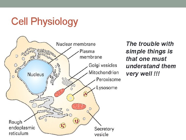 Cell Physiology The trouble with simple things is