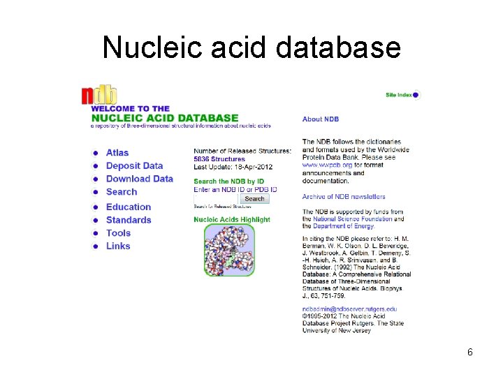 Structural databases Lecture 5 Structural Bioinformatics Dr Avraham