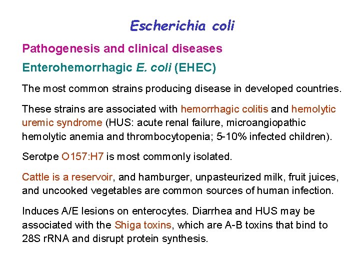 Enterobacteriaceae Meningitis Opportunistic pathogens Escherichia coli ...