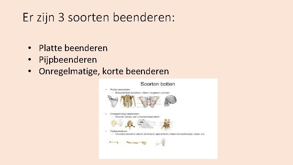 Welke onderwerpen deze periode Bouw en functie van