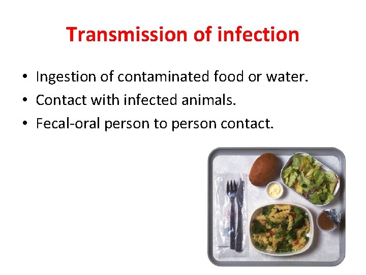 Foodborne and Waterborne Infections CLS 212 Medical Microbiology