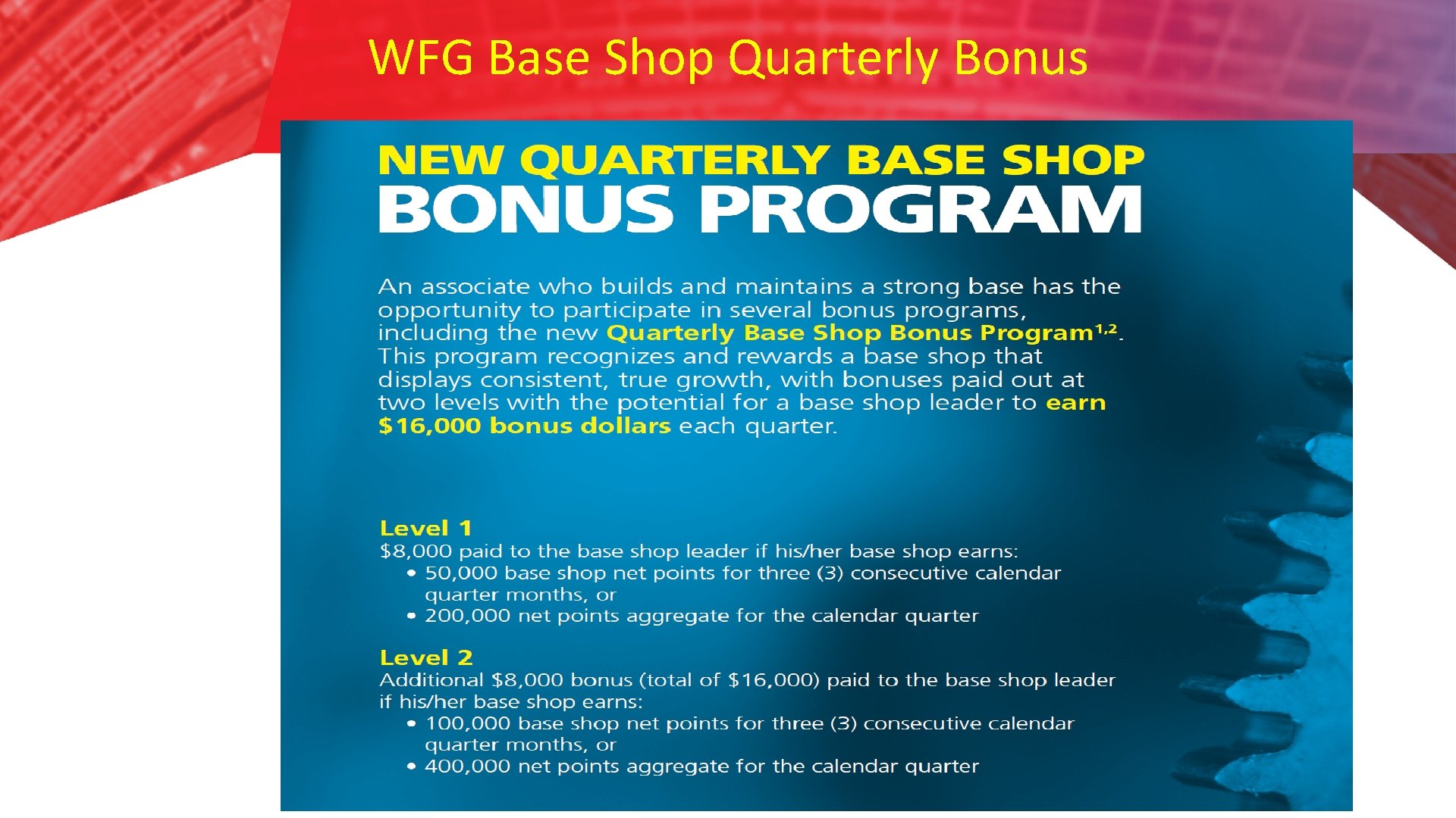 How to build leaders and a big baseshop