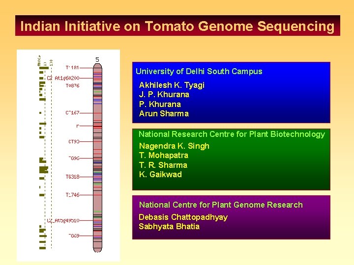 International Tomato Genome Sequencing Project Country USA Korea