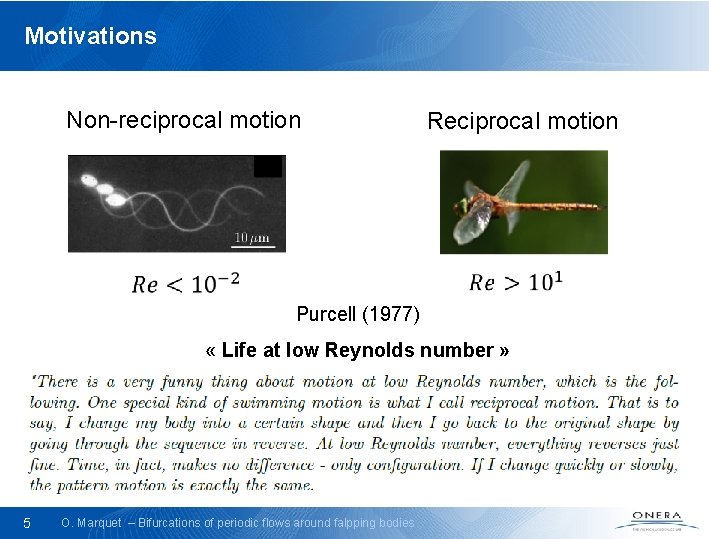 Bifurcations of periodic flows around flapping bodies Olivier