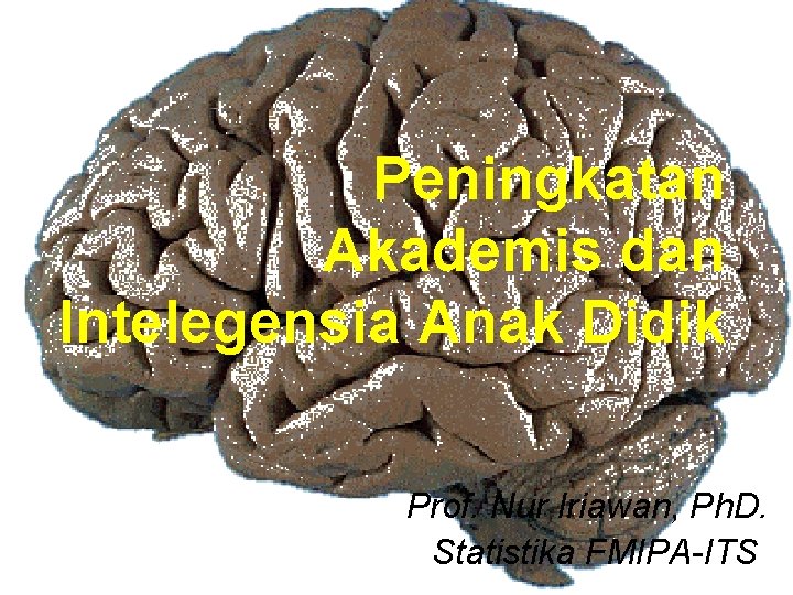 Peningkatan Akademis dan Intelegensia Anak Didik Prof Nur