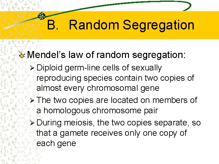 Segregation Assortment and Dominance Relationships A B C
