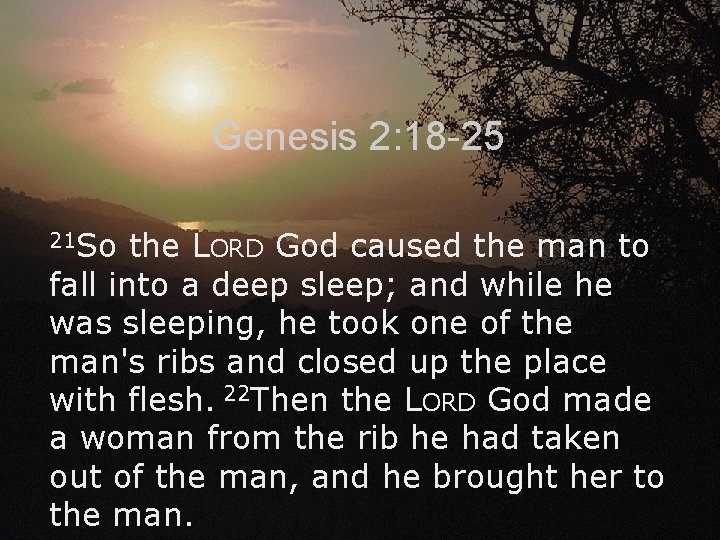 Genesis 2 18 25 18 The LORD God