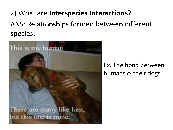 Types of Species Interactions Notes 4 Symbiosis Species