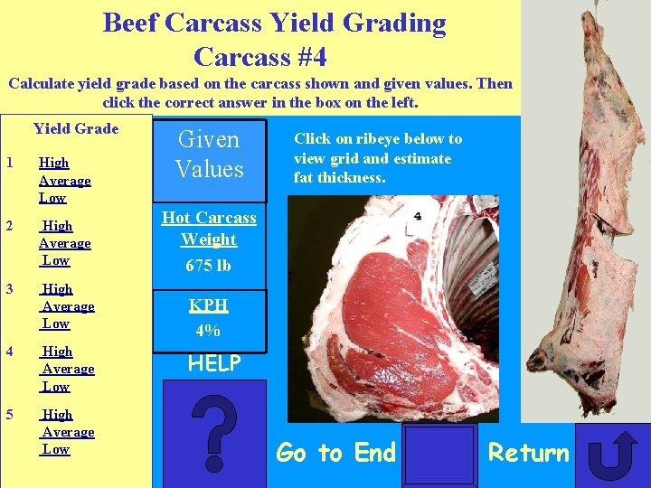 Beef Carcass Yield Grading CDE Practice Based on