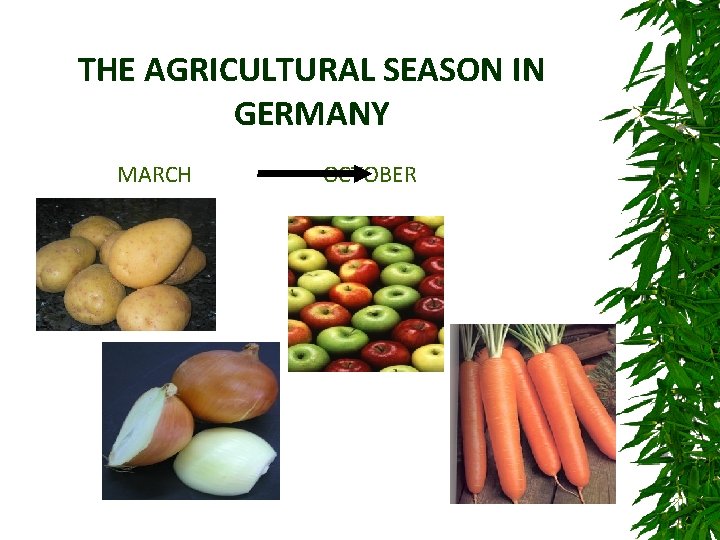 PRODUCTION OF FRESH FRUITS AND VEGETABLES IN GERMANY