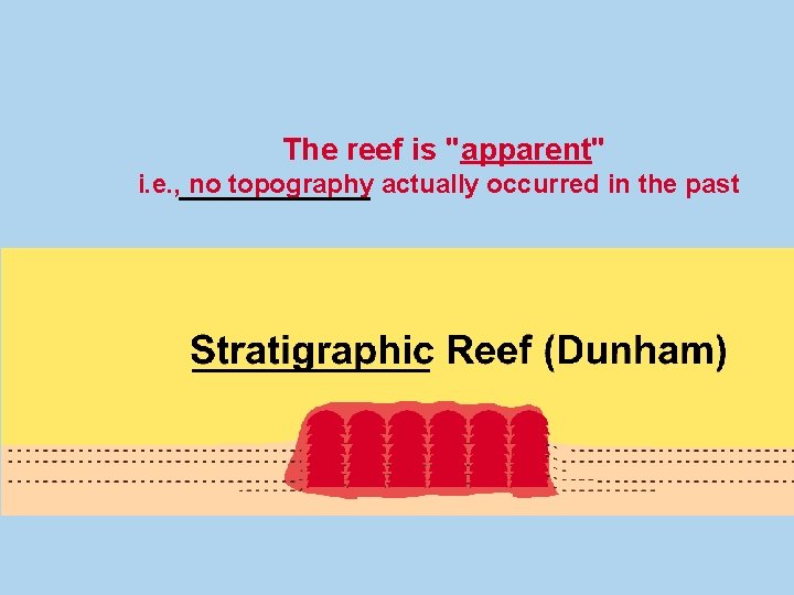 Coral Reef Geology What is a Reef Wilson