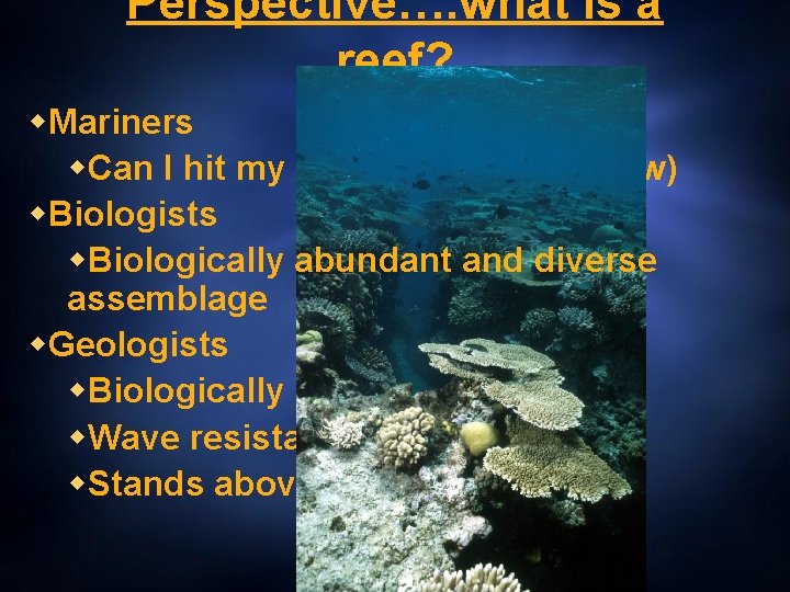 Coral Reef Geology What is a Reef Wilson