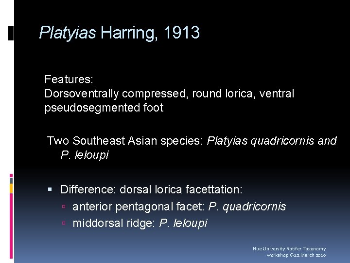 Rotifer Identification The Brachionidae Hue University Rotifer Taxonomy
