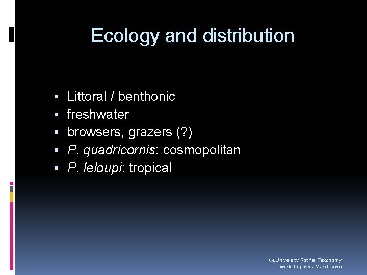 Rotifer Identification The Brachionidae Hue University Rotifer Taxonomy