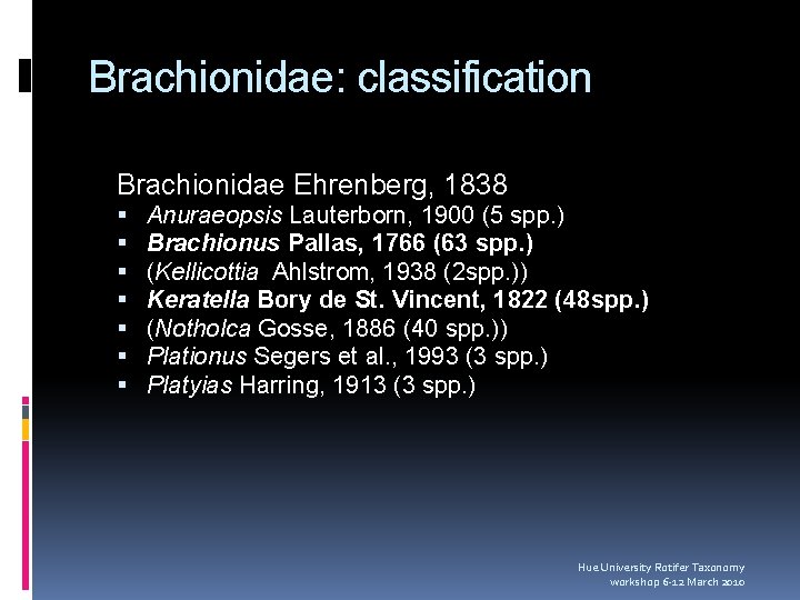 Rotifer Identification The Brachionidae Hue University Rotifer Taxonomy