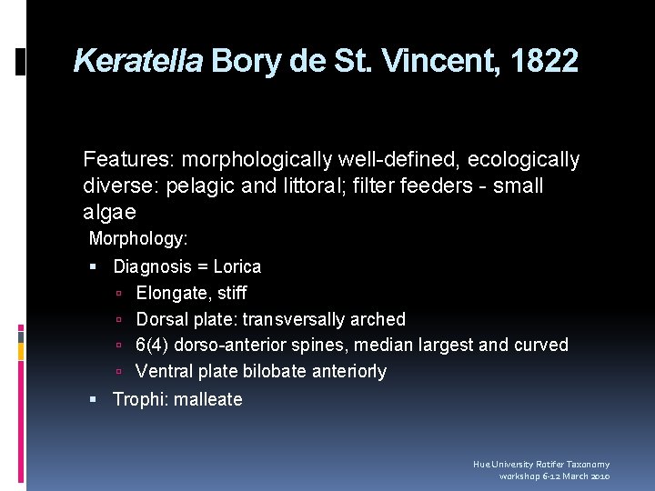 Rotifer Identification The Brachionidae Hue University Rotifer Taxonomy