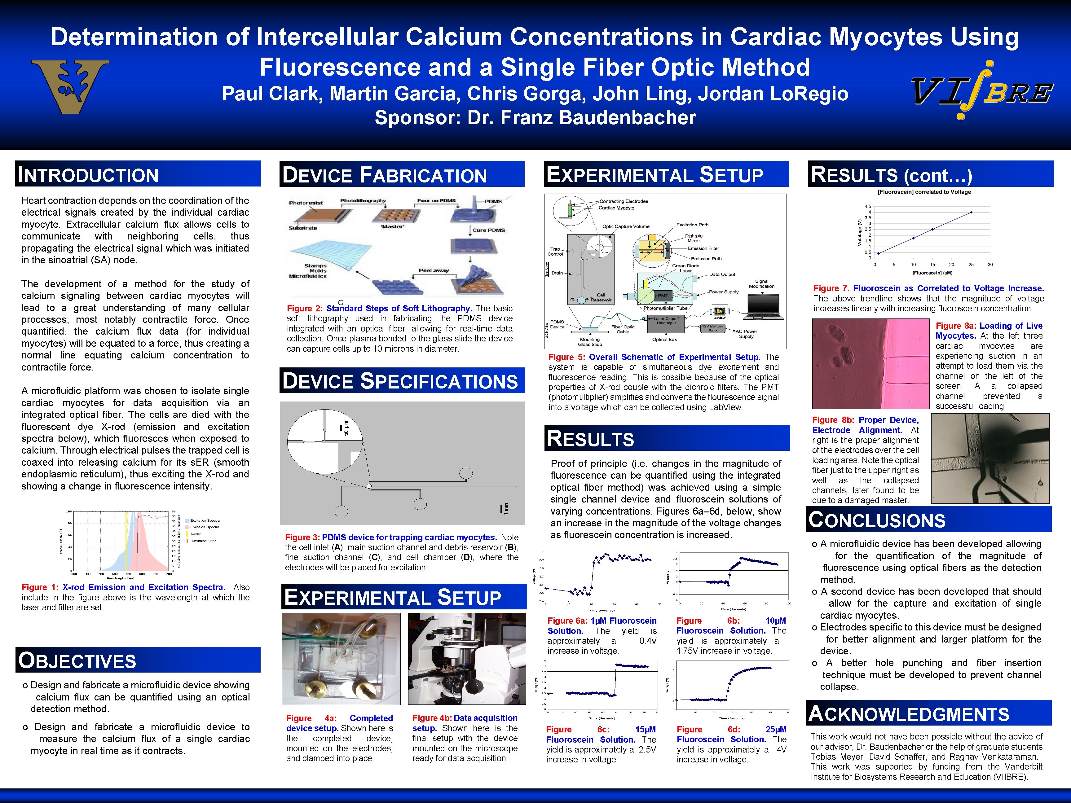Determination of Intercellular Calcium Concentrations in Cardiac Myocytes