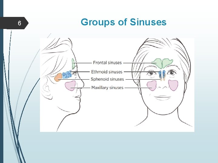 SINUSITIS By Dr Khurshid Anwar Associate Professor ENT