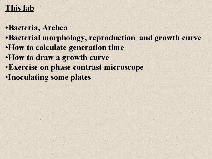 Prokaryotes and bacterial growth curve This lab Bacteria