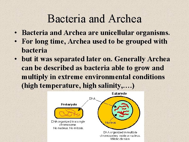 Prokaryotes and bacterial growth curve This lab Bacteria