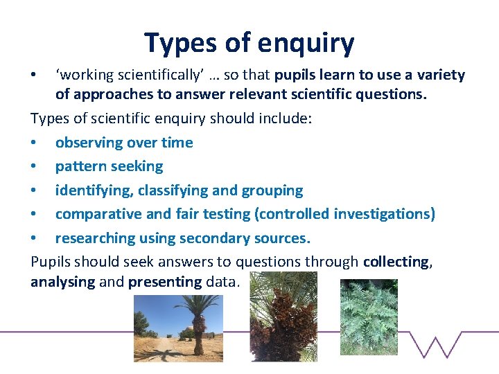 Working Scientifically 1 Observation Tutor Sally Spicer S