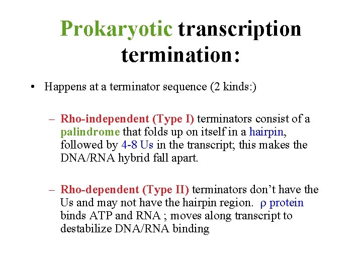 BIOL 2416 CH 5 Transcription Eukaryotic Gene Expression