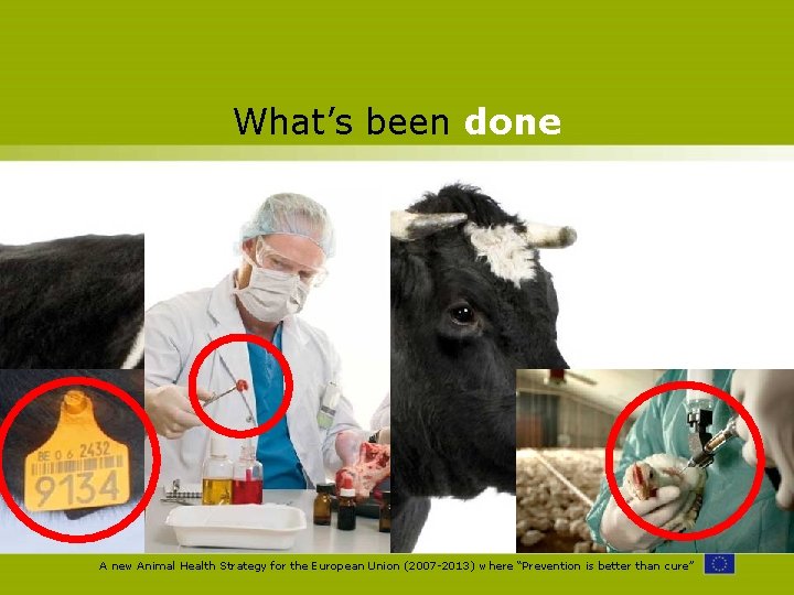 A new Animal Health Strategy for the European