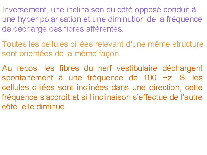 Cours 8 LE SYSTEME VESTIBULAIRE INTRODUCTION Le systme