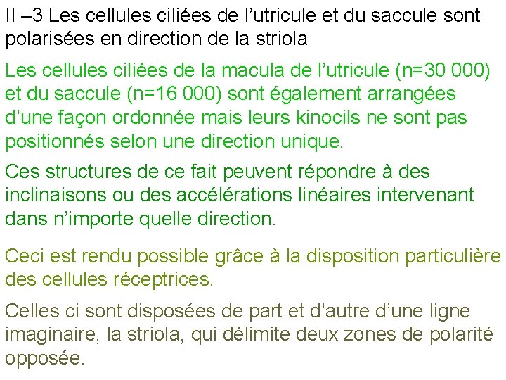 Cours 8 LE SYSTEME VESTIBULAIRE INTRODUCTION Le systme