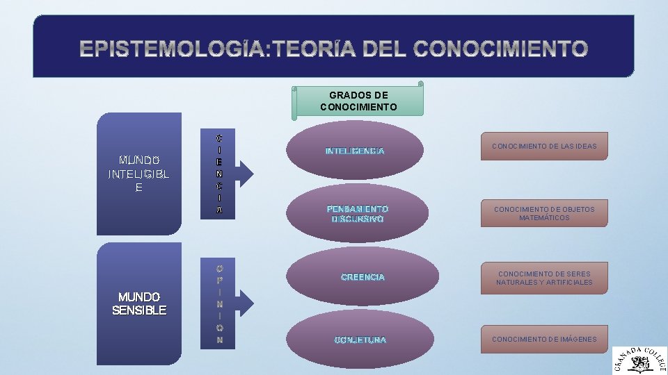 PLATN METAFSICA y ONTOLOGA EPISTEMOLOGA PLATN ANTROPOLOGA TICA